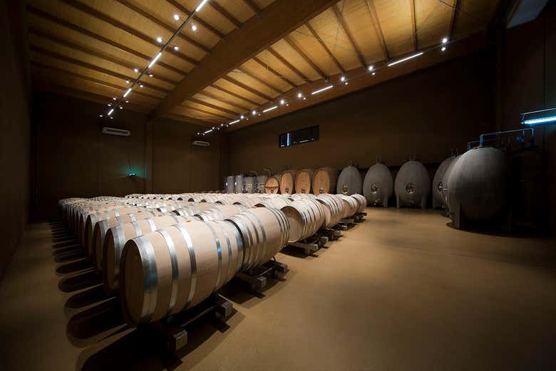 Visita a las bodegas José Pariente de La Seca - Civitatis.com
