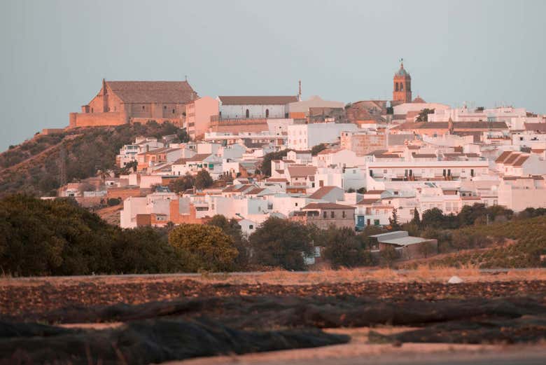 Visita guiada por Montilla - Reserva online en Civitatis.com