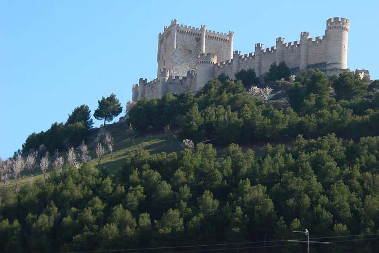 Visita guiada por el castillo de Peñafiel + Museo del Vino
