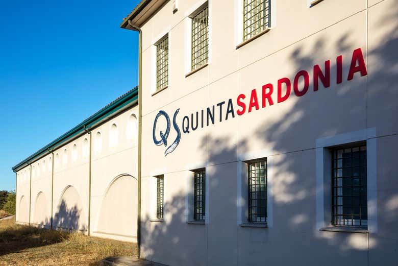 Quinta Sardonia Winery Visit, Sardón de Duero