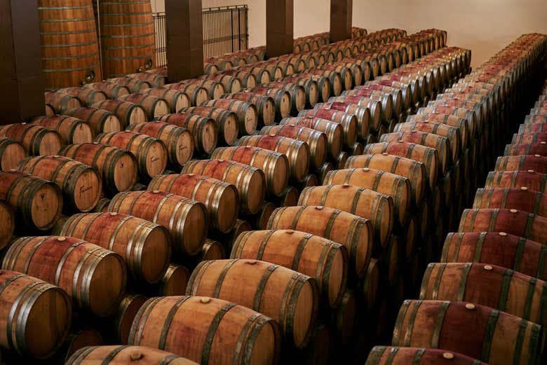 Visita a las bodegas Fariña, Toro