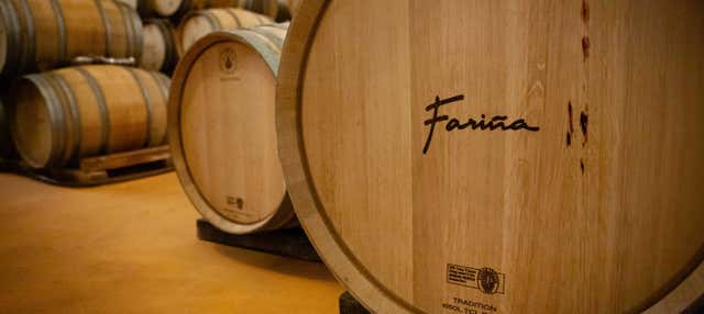 Visita a las bodegas Fariña, Toro