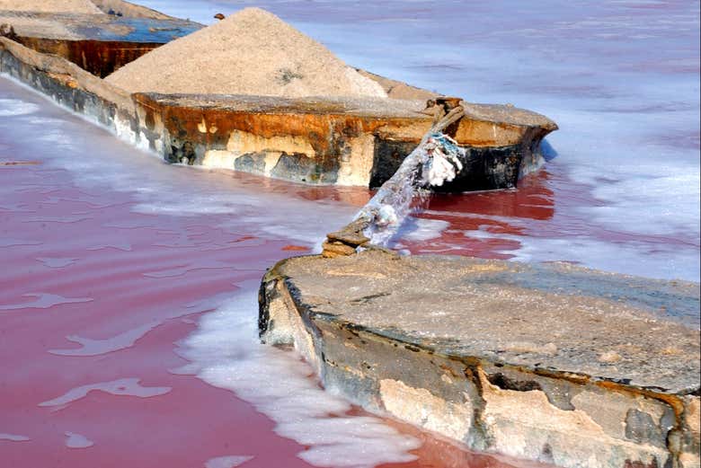 Visita guiada por las salinas de Torrevieja - Civitatis.com