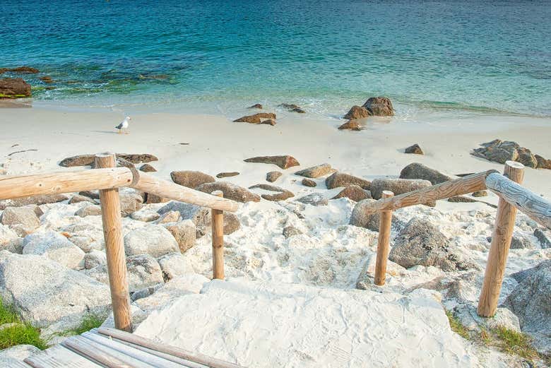 Ferry to the Cies Islands from Vigo - Book Online at Civitatis.com