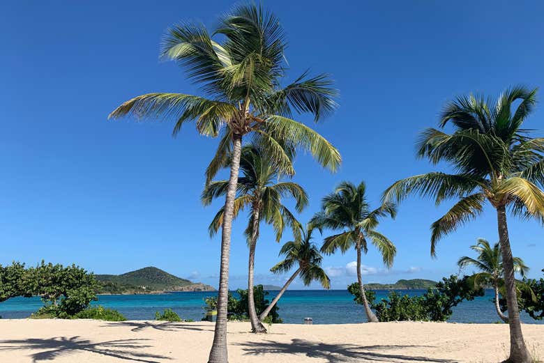 Beaches of St. Thomas Tour from Charlotte Amalie, Carlota Amalia