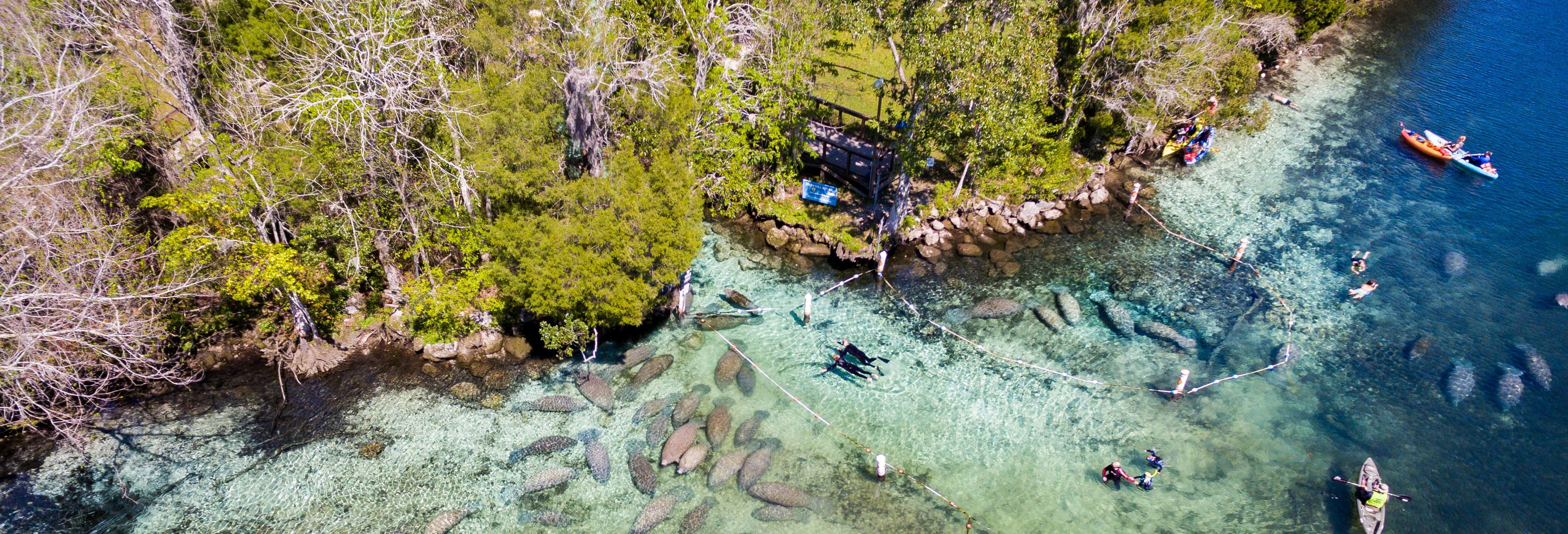 Escursioni, visite guidate e attività a Crystal River - Civitatis