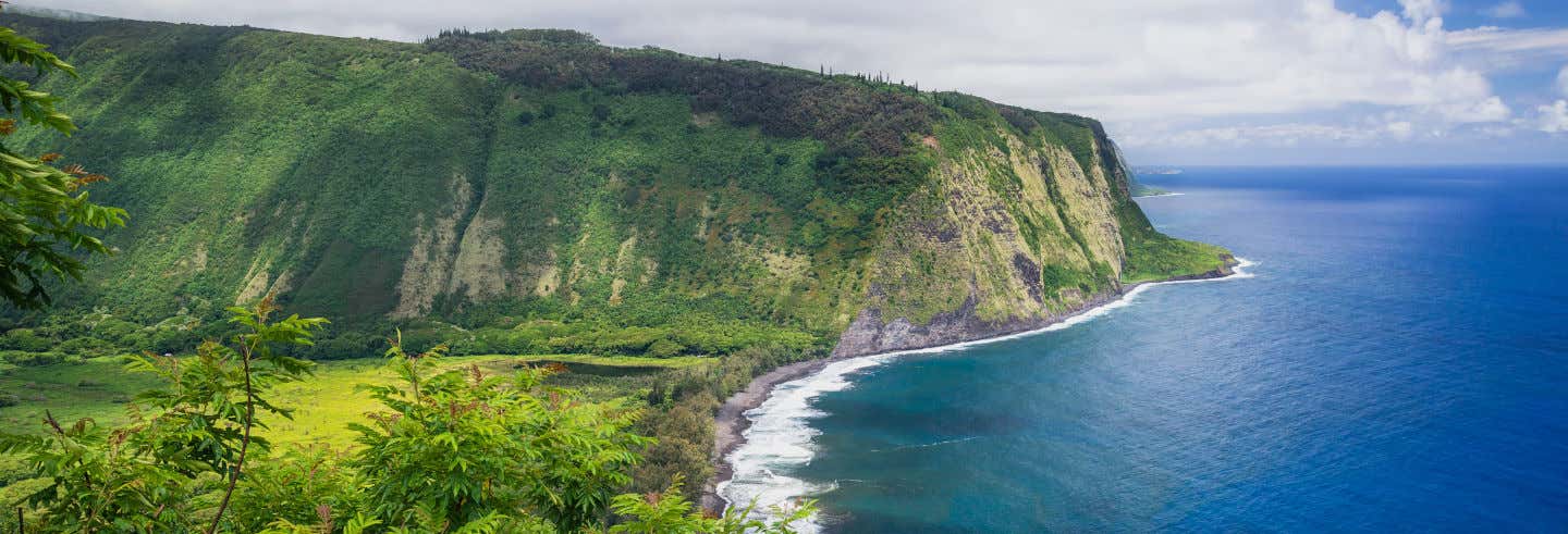 Excursiones, visitas guiadas y actividades en Isla de Hawái