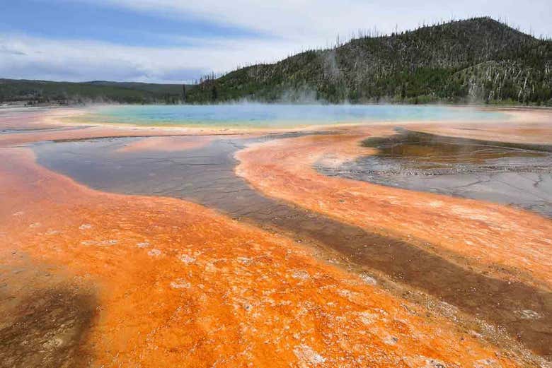 Balade en 4x4 à Yellowstone depuis Jackson - Civitatis.com