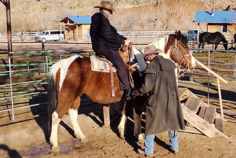 Joshua Tree Horseback Riding Tour, Kingman