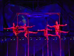 Tickets to Mystère by the Cirque du Soleil in Las Vegas