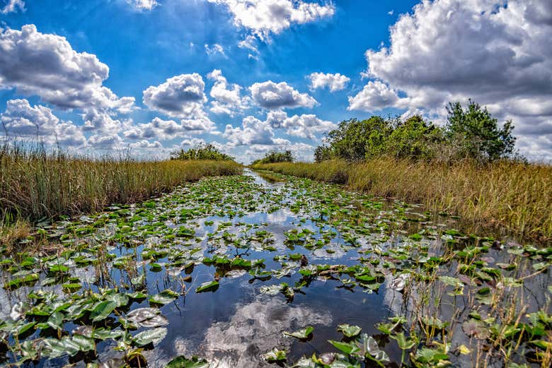 Offer: Kennedy Space Center + Everglades from Orlando