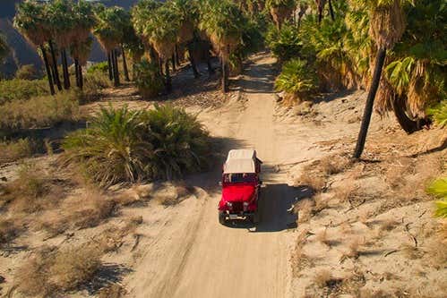 San Andreas Fault 4x4 Tour from Palm Springs - Civitatis.com