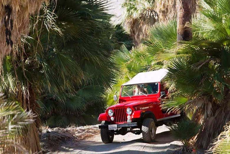 San Andreas Fault 4x4 Tour from Palm Springs - Civitatis.com