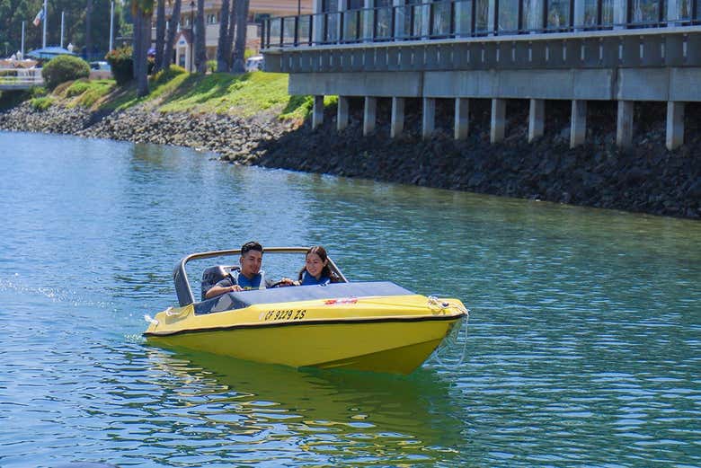 Tampa Bay Speedboat Experience - Book Online at Civitatis.com