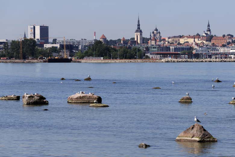 Tallinn Bay Sightseeing Cruise - Book Online at Civitatis.com