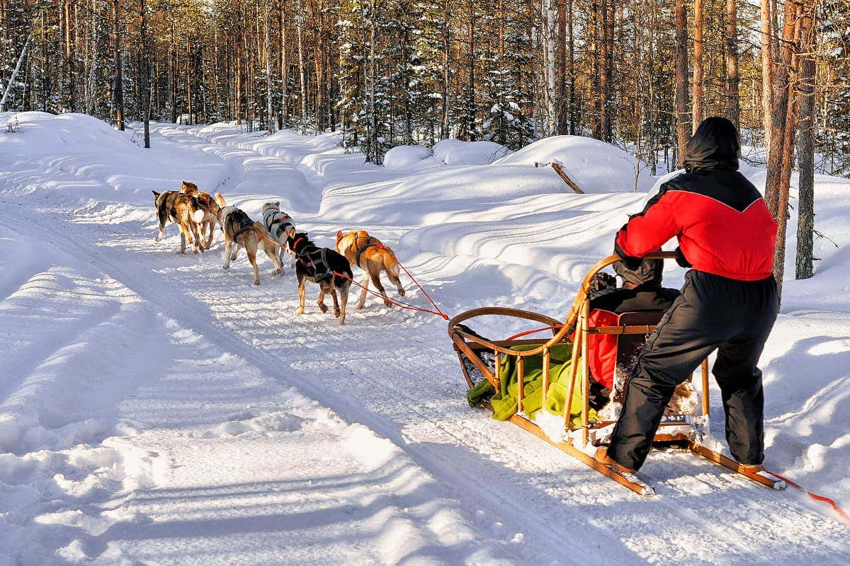 Trineos de perros husky y motos de nieve desde Ranua