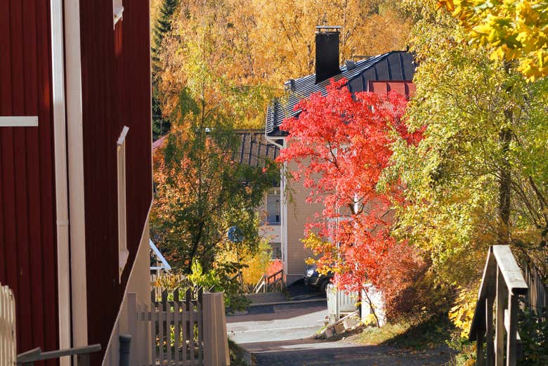 Tampere Private Tour - Book Online at Civitatis.com