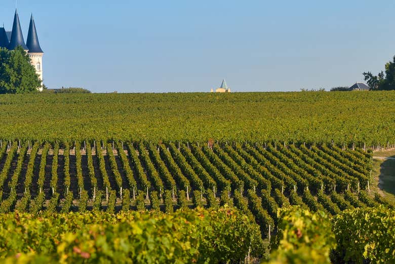 Medoc Wine Tour, Bordeaux