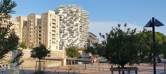 Free tour por Montpellier - Reserva online en Civitatis.com