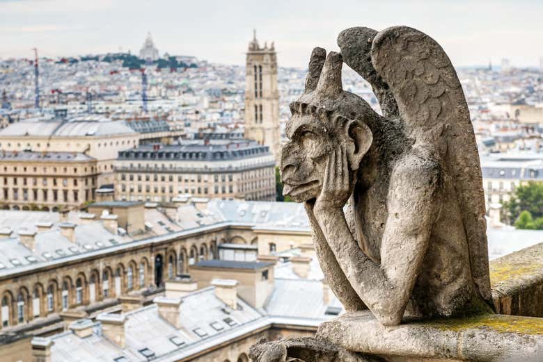 Notre Dame Cathedral Tour and Crypt Tickets, Paris - Civitatis.com