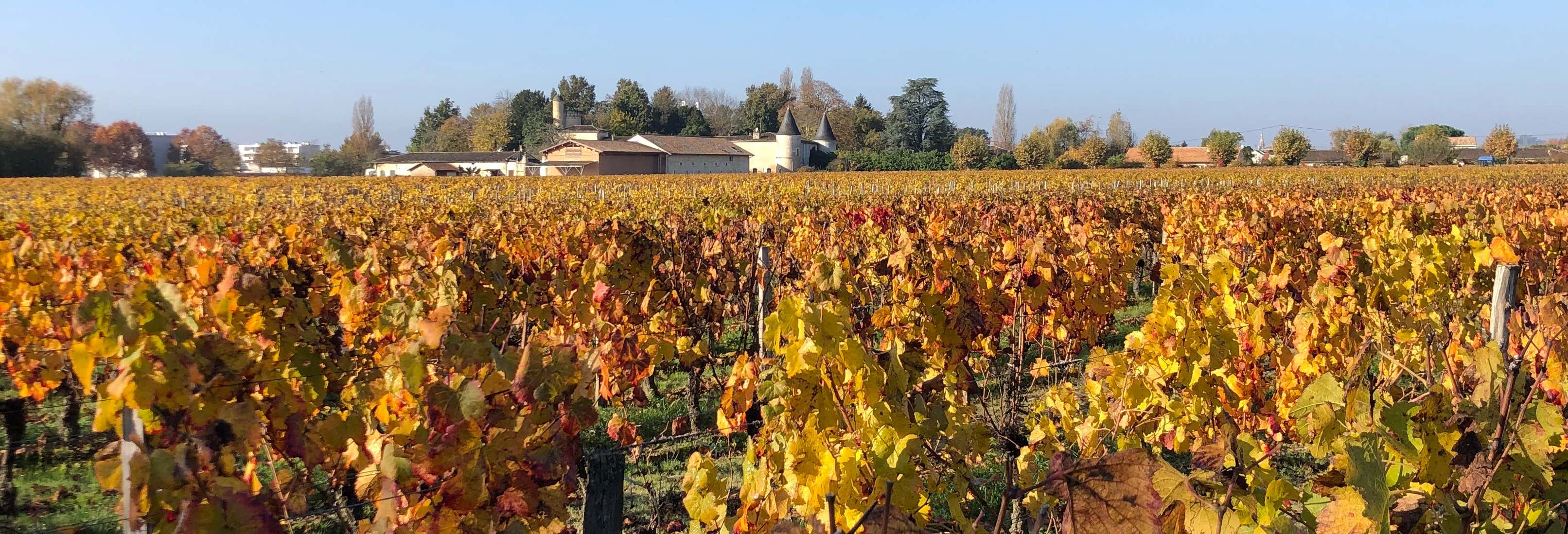 Activities, Guided Tours and Day Trips in Pessac - Civitatis.com