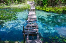 Excursiones, visitas guiadas y actividades en Flores - Civitatis