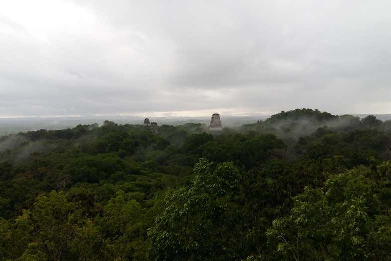 Excursión privada desde Flores - Reserva online en Civitatis.com