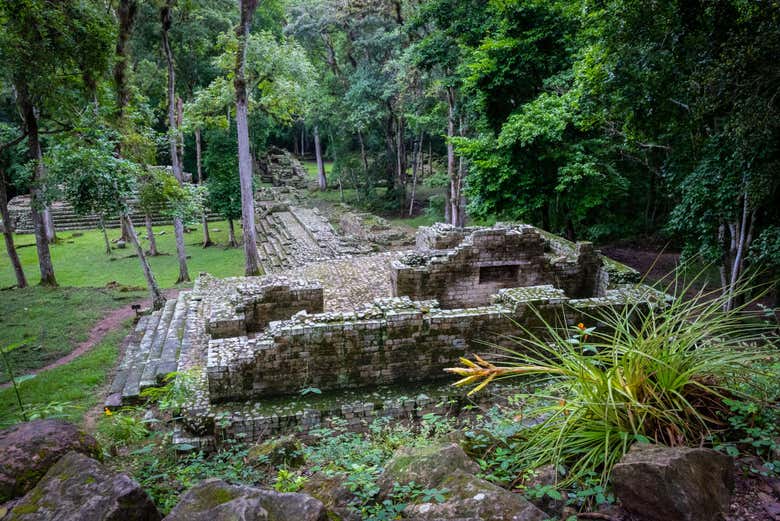 Excursión privada al Parque Arqueológico y Parque de Aves, Copán Ruinas
