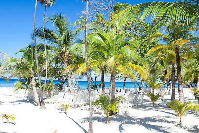 Tabyana Beach Day Trip, Roatán