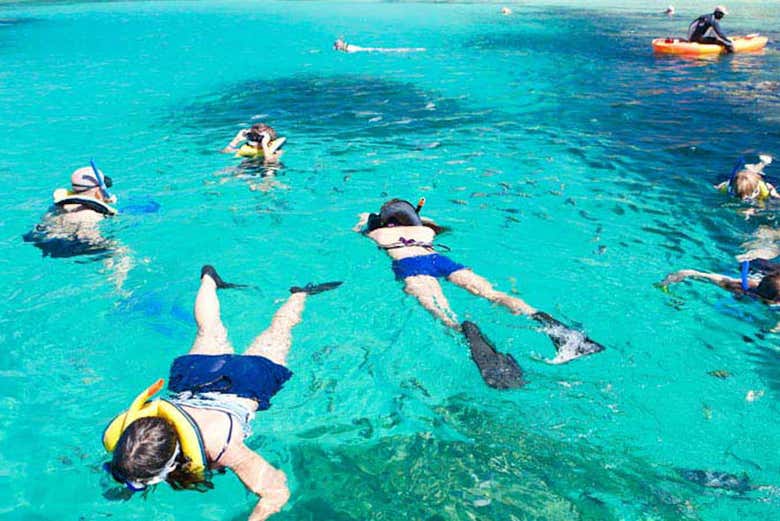 Tabyana Beach Day Trip, Roatán