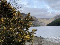 Glendalough, Wicklow & Kilkenny Day Trip from Dublín, Dublin