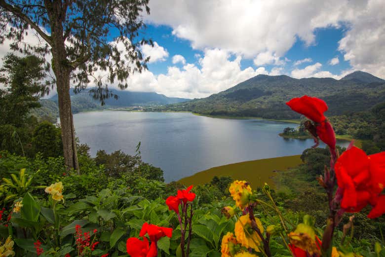 Tamblingan & Buyan Lakes Trek, Bali