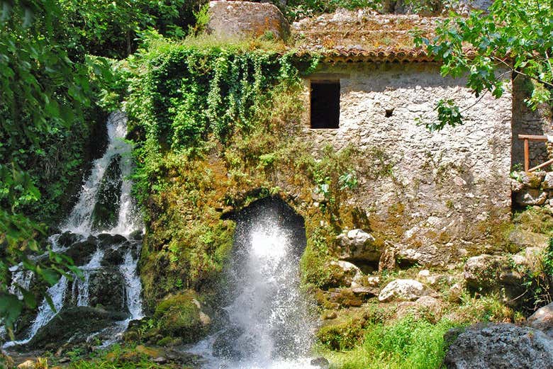 Escursione all'Oasi di Morigerati da Ascea - Civitatis.com