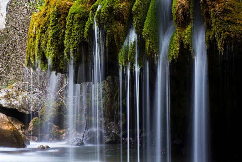 Hair of Venus Waterfalls Tour from Ascea - Book at Civitatis.com