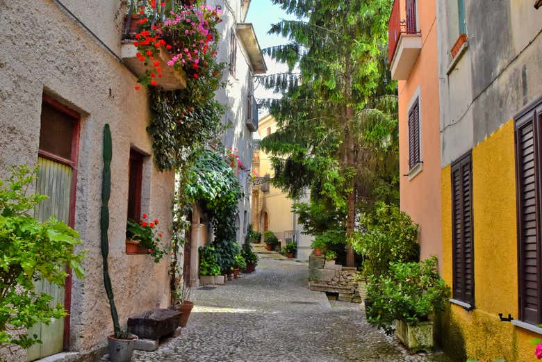 Atina Guided Tours - Book Online at Civitatis.com