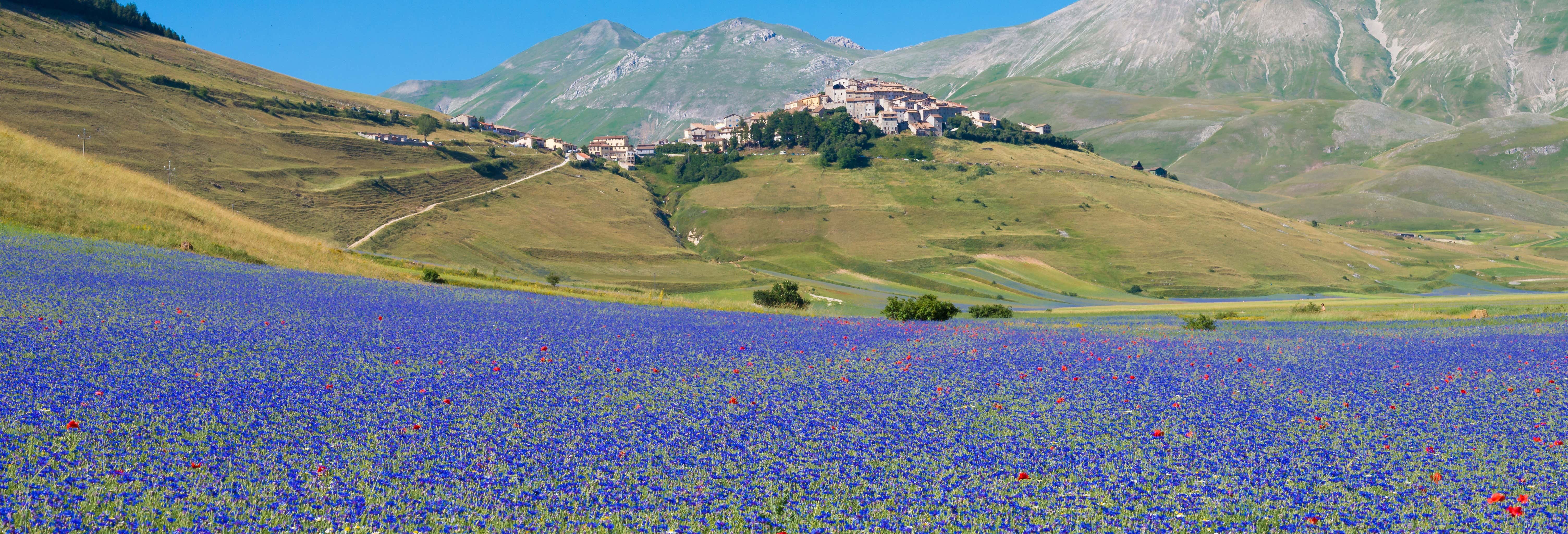 Excursiones, visitas y actividades en Castelluccio di Norcia