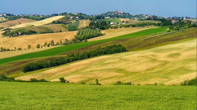 Excursiones, visitas guiadas y actividades en Cingoli - Civitatis