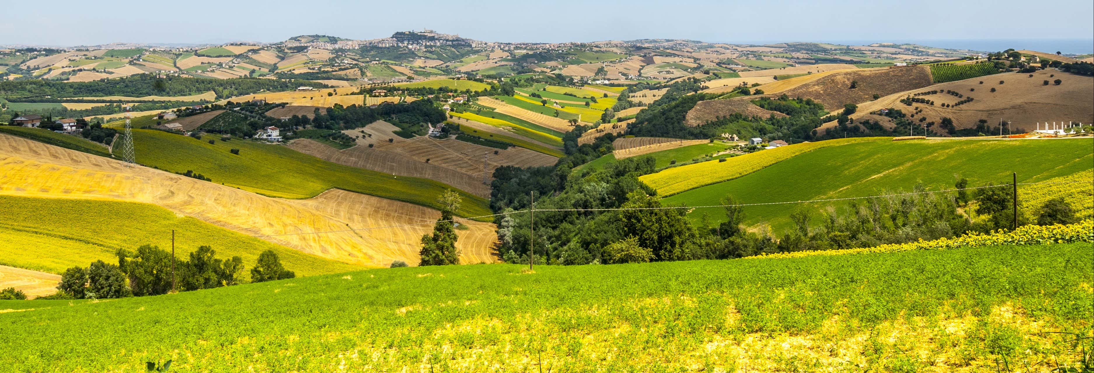 Activities, Guided Tours and Day Trips in Fermo - Civitatis.com