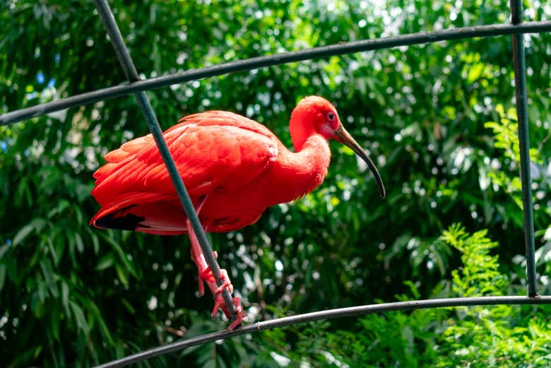 Entrada a la Biosfera de Génova - Reserva online en Civitatis.com
