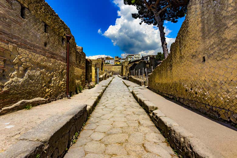 Visita guiada por el parque arqueológico de Herculano