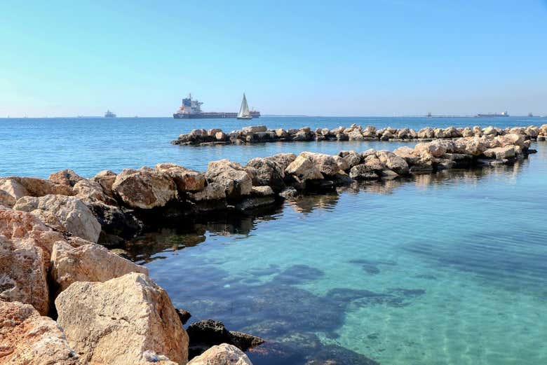 Avistamiento de cetáceos en el golfo de Tarento desde Marina di Ginosa