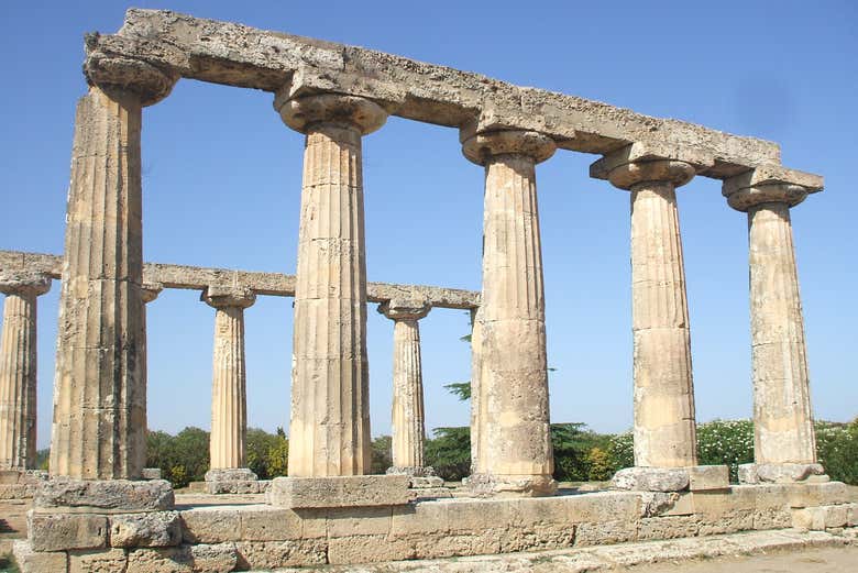 Visita privata al Parco Archeologico di Metaponto, Metaponto