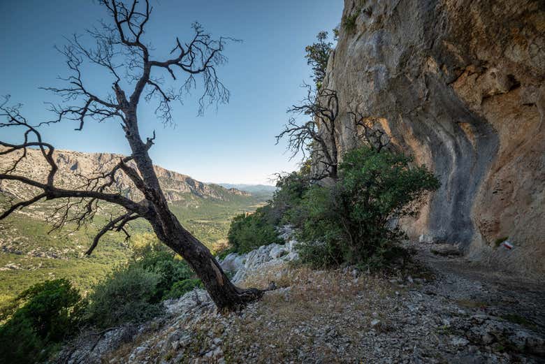 Gulf of Orosei Trekking Tours from Orosei - Book at Civitatis.com