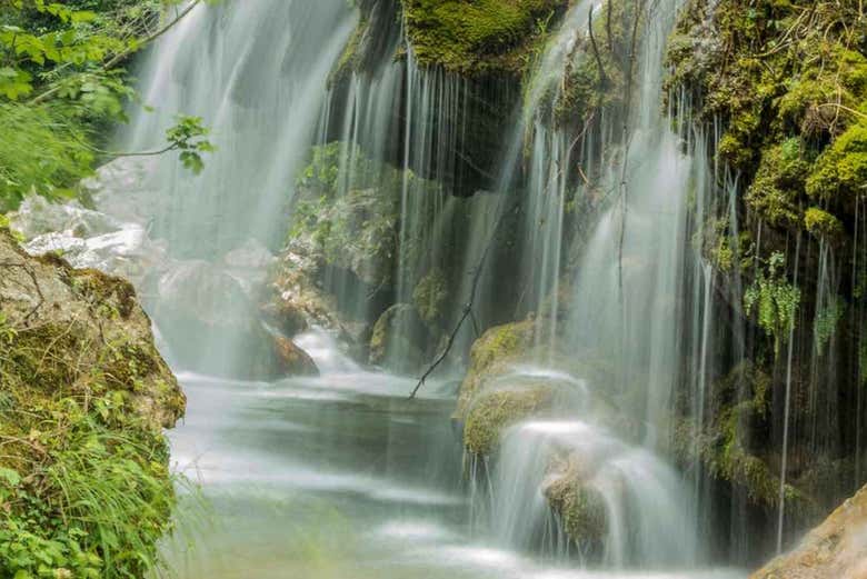 Hair of Venus Waterfalls Excursion from Pisciotta - Civitatis.com