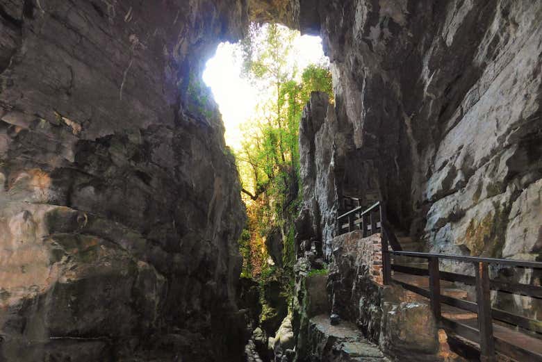 Escursione all'Oasi di Morigerati da Pisciotta - Civitatis.com