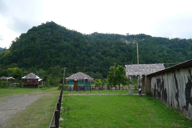 Day Trip to a Maroon Town from Runaway Bay - Book at Civitatis.com