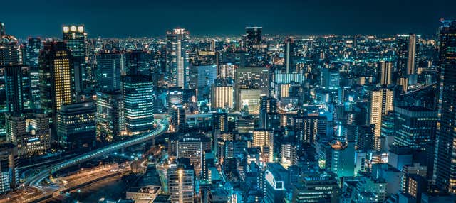 Osaka Private Tour - Book Online at Civitatis.com