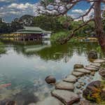 Excursiones, visitas guiadas y actividades en Tokio - Página 2