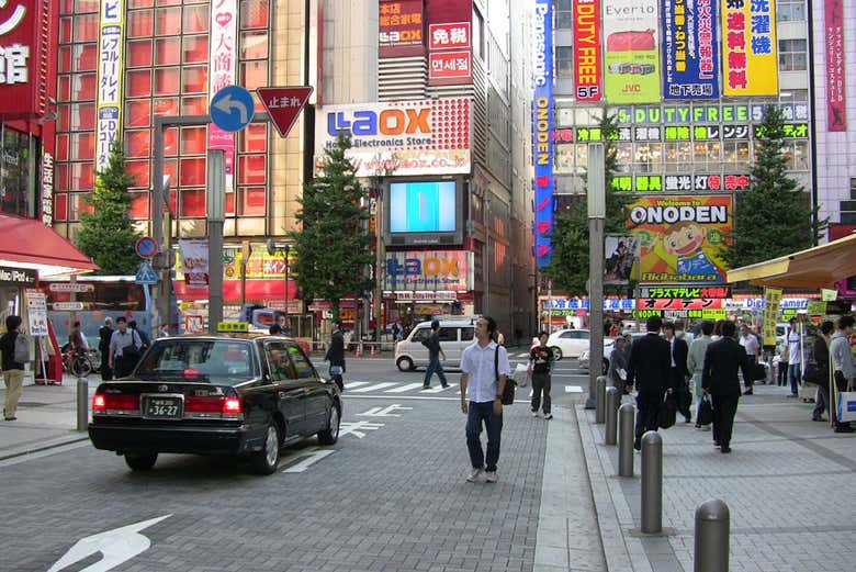 Tour privado por Tokio con guía en español - Civitatis.com