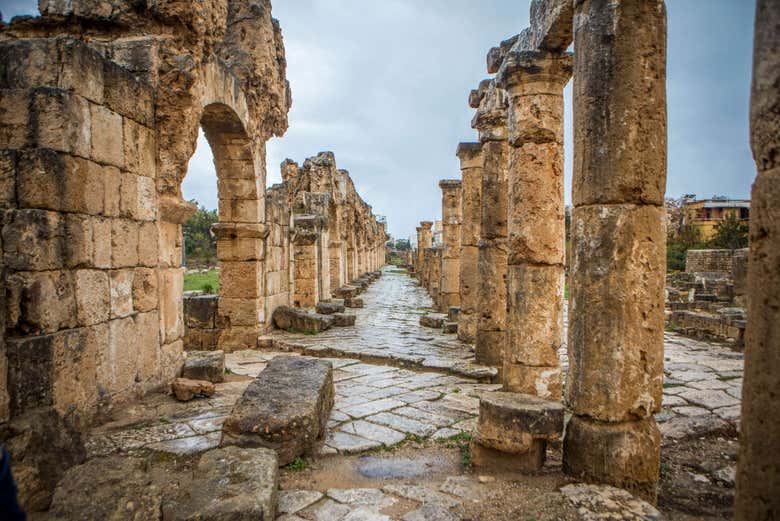 Excursión a Sidón, Tiro y Maghdouché desde Beirut